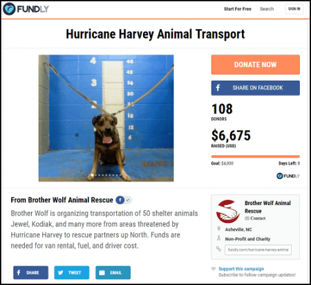 145+ Community Service Ideas [with Examples!]